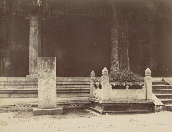 Tree said to have been Planted by Confucius | National Galleries of ...