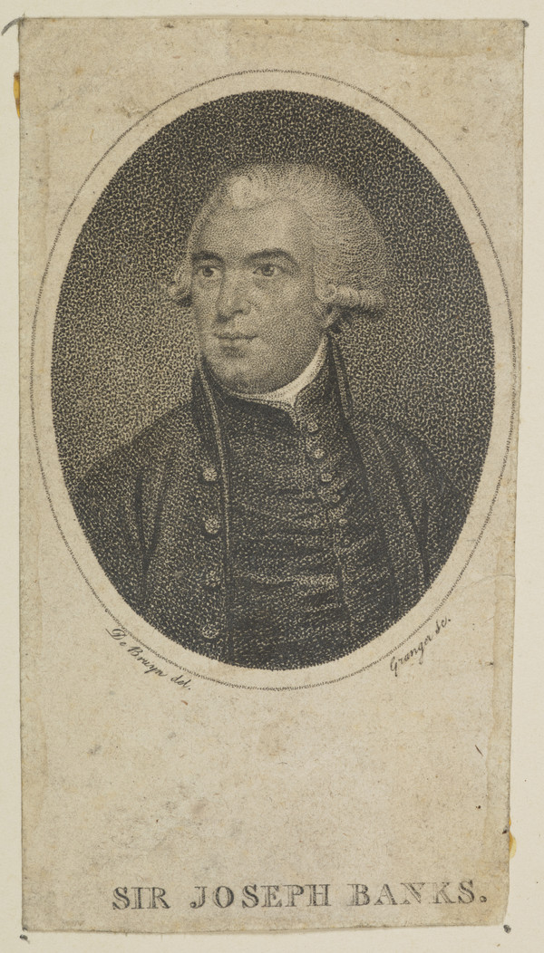 Sir Joseph Banks, 1743 - 1820. Naturalist by Grainger | National ...