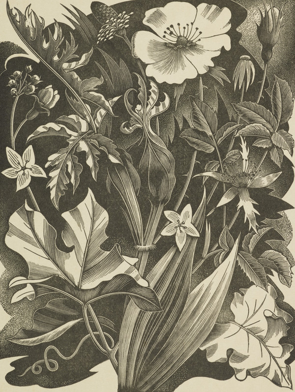 Summer Flowers by George Mackley | National Galleries of Scotland