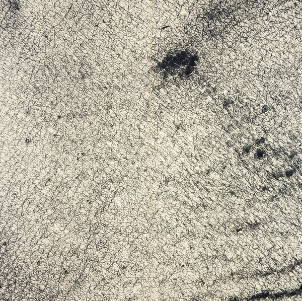 Skin Series No. 8 by Boyle Family (Mark Boyle, Joan Hills, Sebastian ...