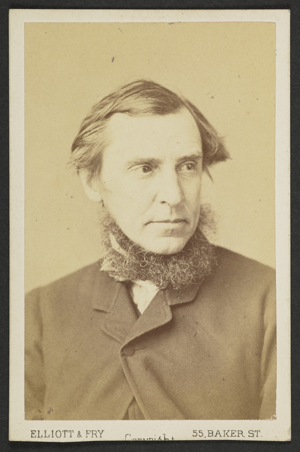 James Anthony Froude (1818-1894) by Elliott and Fry | National ...