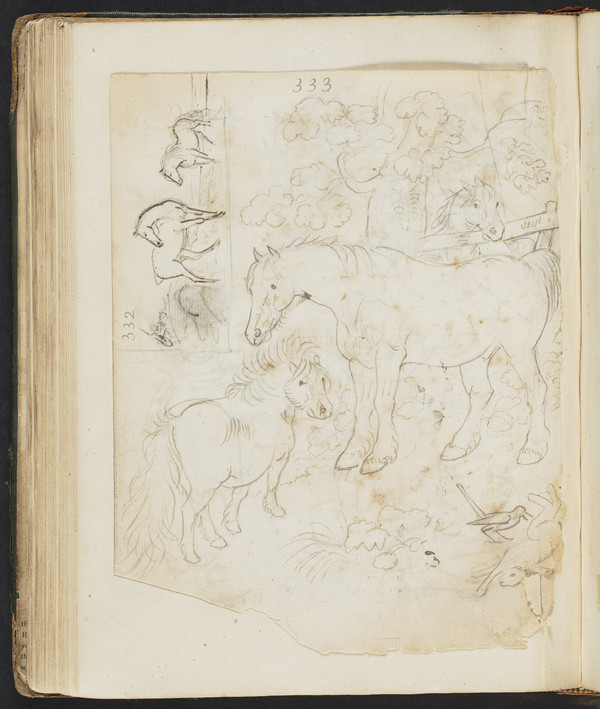 Two drawings of horses by James Howe | National Galleries of Scotland