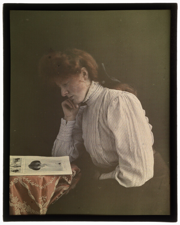 Portrait of a Woman Reading | National Galleries of Scotland