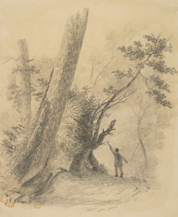 Forest Scenery with Male Figure | National Galleries of Scotland