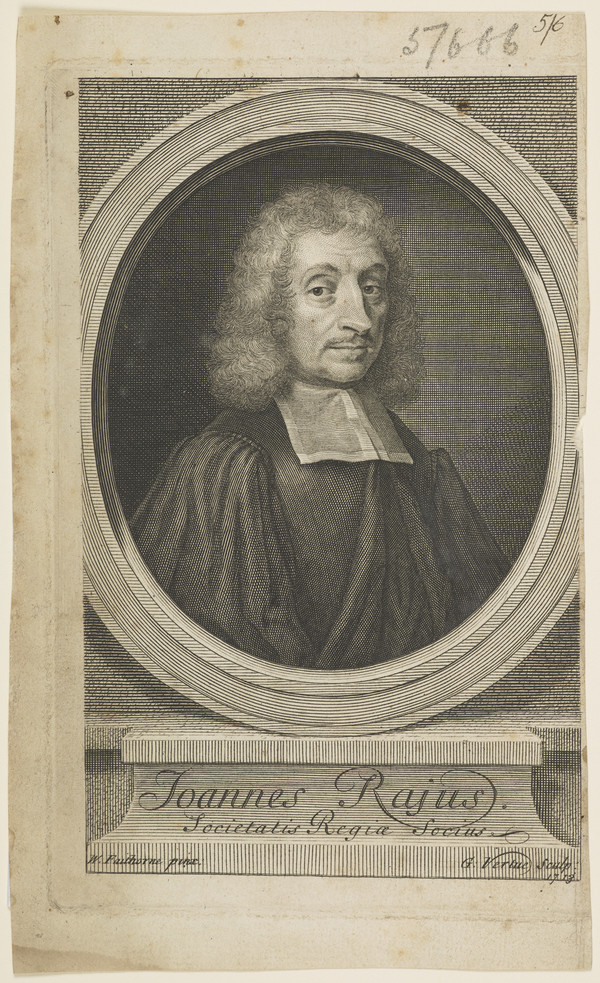 John Ray, 1627 - 1705. Naturalist by George Vertue | National Galleries ...