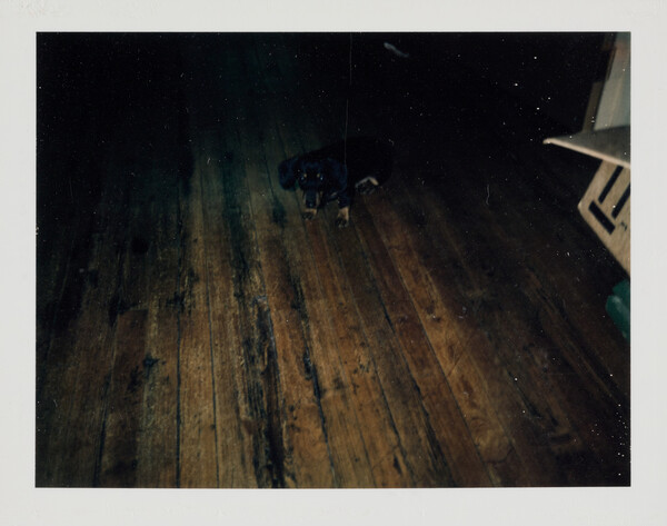 Archie by Andy Warhol | National Galleries of Scotland