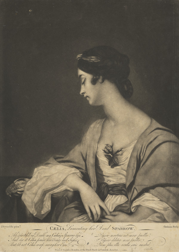 Christiana Gwyn, Lady Collier, 1749 - active 1772. 1st wife of Admiral ...