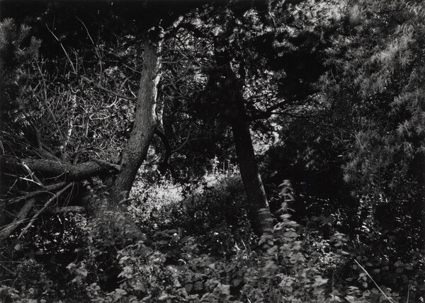 St. Bega, Dunbar, East Lothian, Scotland 2019 by Thomas Joshua Cooper ...