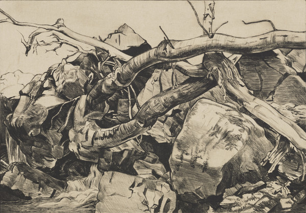 Fallen Tree and Rocks by Harry Fabian Ware | National Galleries of Scotland