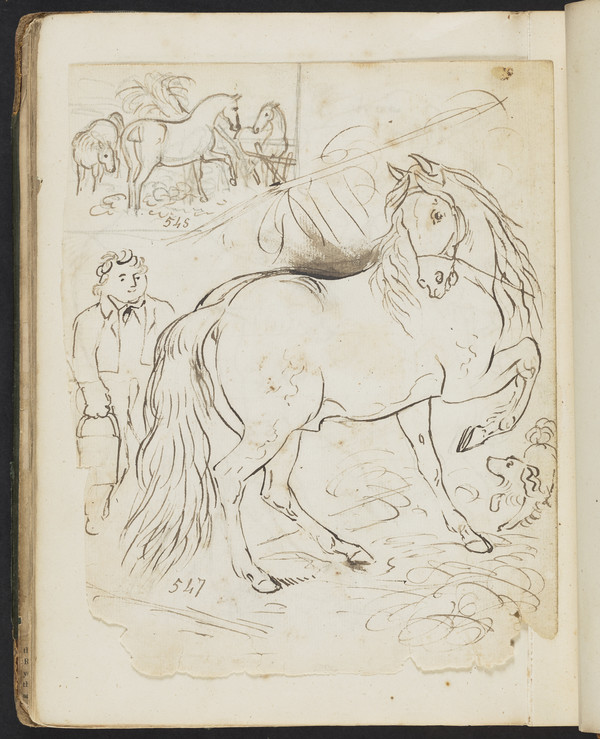 Two depictions of horses by James Howe | National Galleries of Scotland