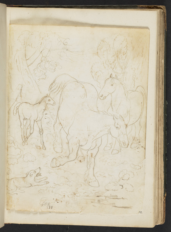 Horses in a clearing by James Howe | National Galleries of Scotland