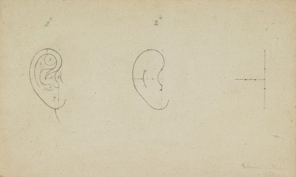 Studies of Ear Formations [Verso: Ear Formations] by Daniel Somerville ...