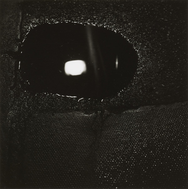 'Is: Ecstasies' XIX by David Williams | National Galleries of Scotland