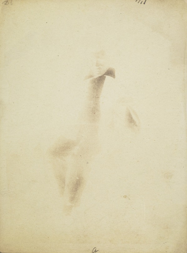 - W Caddel (or Caddle / Cadden) by David Octavius Hill and Robert ...