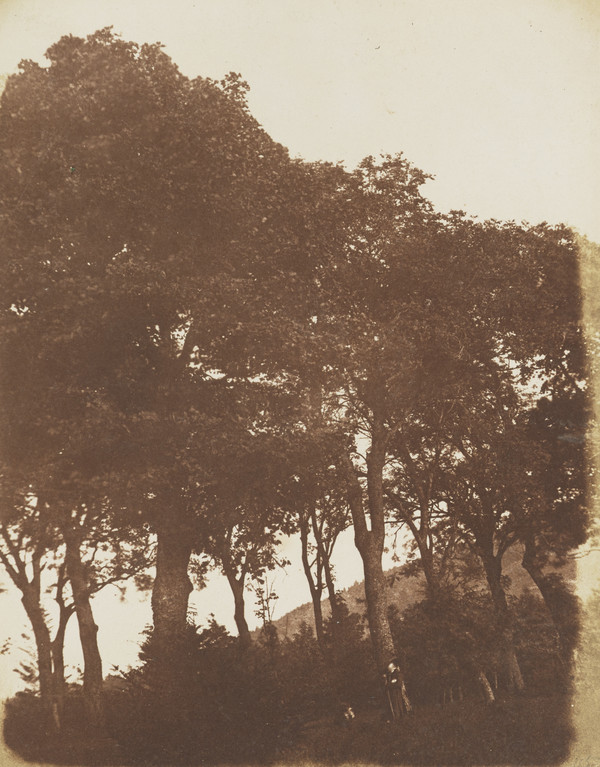 A field at Bonaly with David Octavius Hill and John Henning [Landscape ...