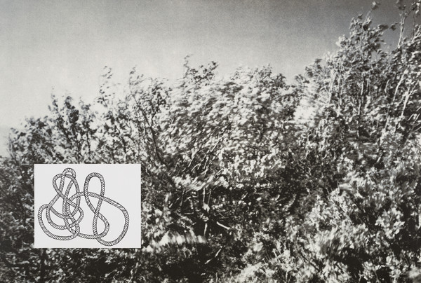 A (from the portfolio 'Show and Tell') by Richard Deacon | National ...