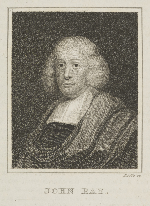 John Ray, 1627 - 1705. Naturalist by John Roffe | National Galleries of ...