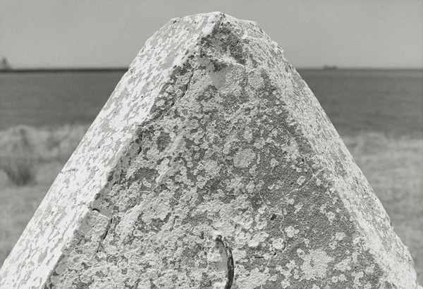 Line of Defence by Roger Palmer | National Galleries of Scotland