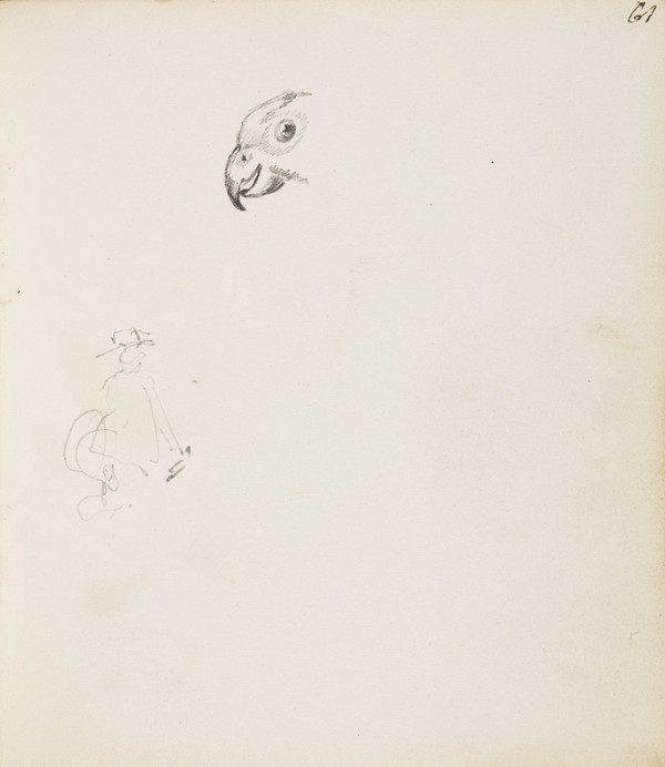 Sketch of a Man and a Parrot's Head by Alexander Abernethy Ritchie ...