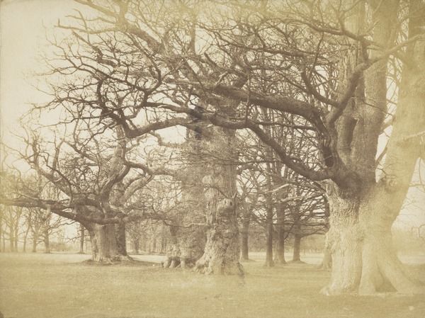 Unknown Landscape | National Galleries of Scotland