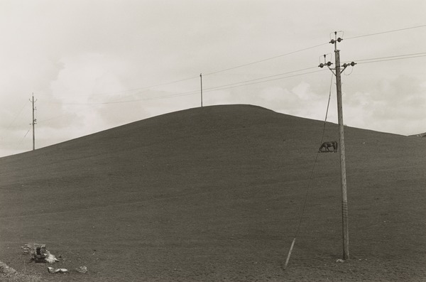 Galloway by Raymond Moore | National Galleries of Scotland