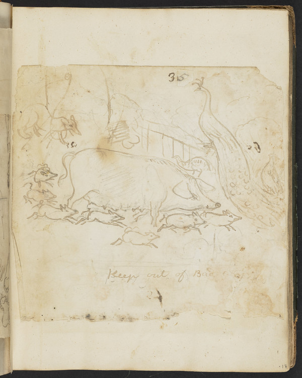 Various animals; pig, dog and peacocks by James Howe | National ...