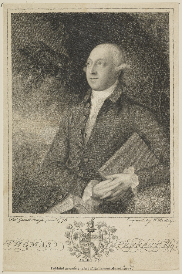 Thomas Pennant, 1726 - 1798. Traveller and naturalist by William Ridley ...