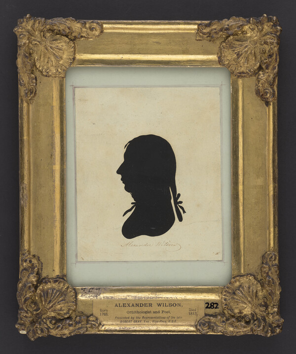 Alexander Wilson, 1766 - 1813. Ornithologist | National Galleries of ...