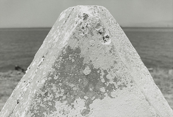 Line of Defence by Roger Palmer | National Galleries of Scotland