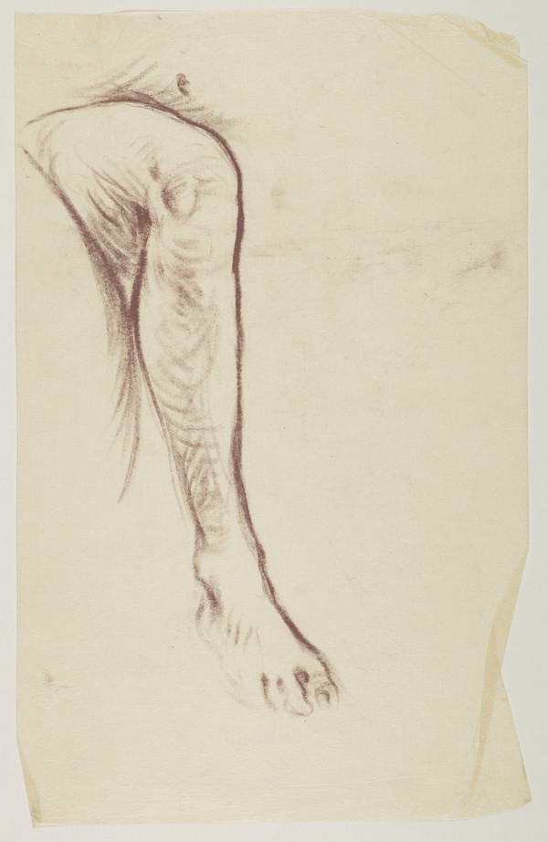 Sketch of a Lower Leg and a Foot by Charles Hodge Mackie | National ...