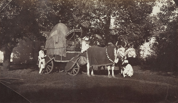 'The Carriage of a Native Lady of Rank' by Eugene Clutterbuck Impey ...