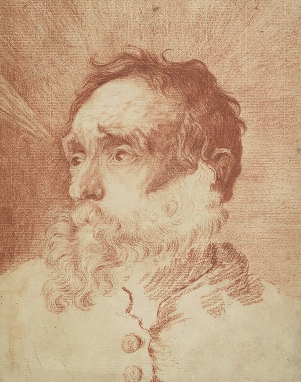 Profile Head of a Bearded Man | National Galleries of Scotland