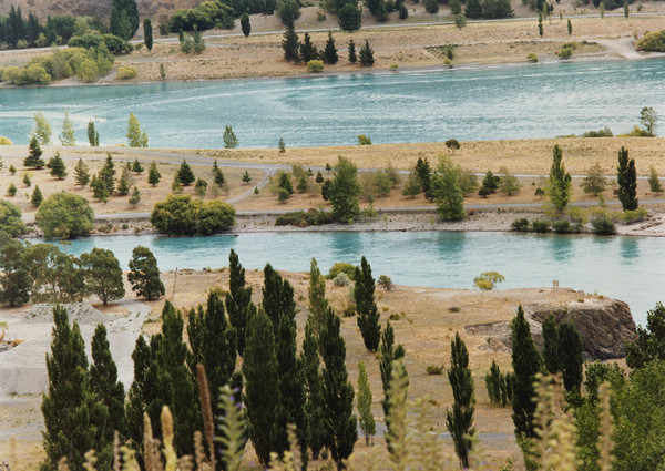 McKenzie Country, New Zealand, 1991 by Felicitas Vogler | National ...