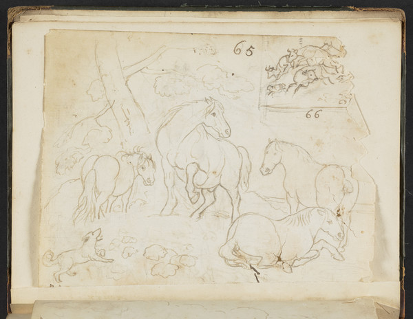 Two drawings: Cows, and horses by James Howe | National Galleries of ...