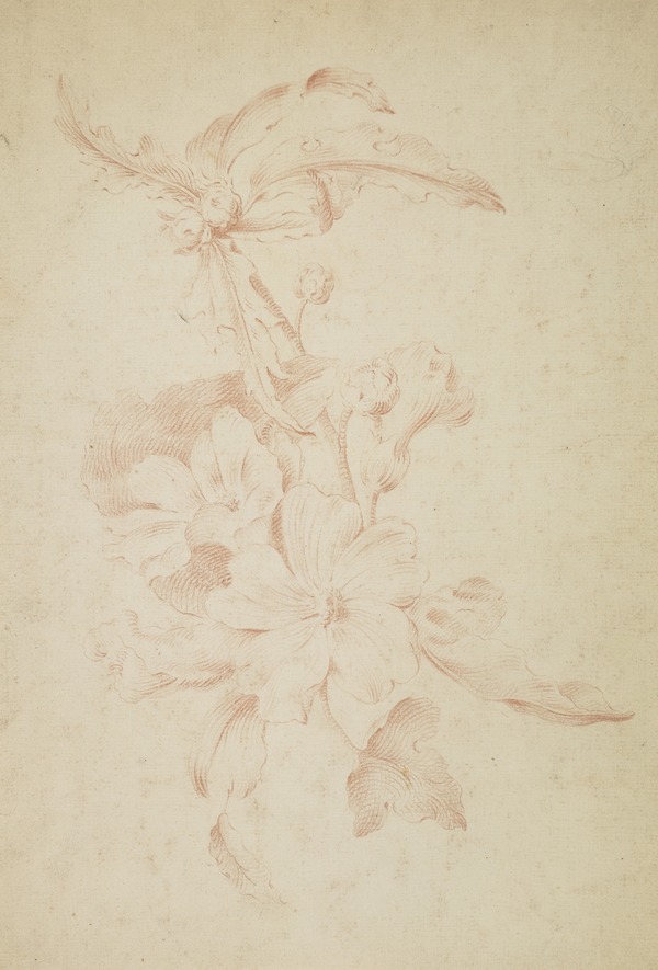 Flower by Archibald Rutherford | National Galleries of Scotland