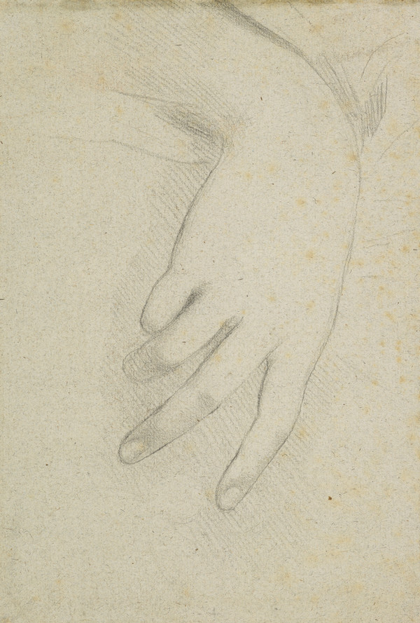 A Right Hand Hanging Down. Copy after the Painting 'Venus of Urbino' by ...