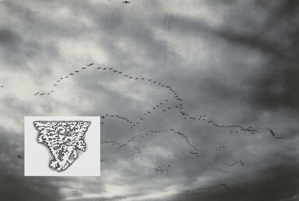 E (from the portfolio 'Show and Tell') by Richard Deacon | National ...