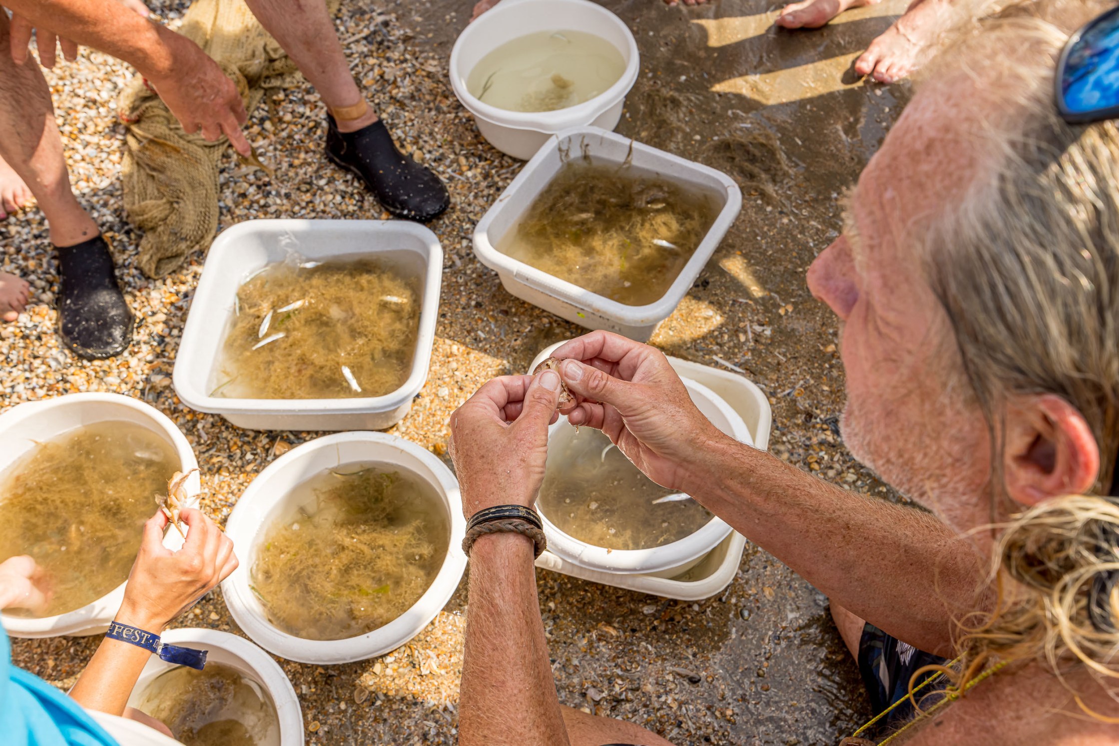 De Noordzee als kraamkamer - wat leeft er allemaal in de branding van ...