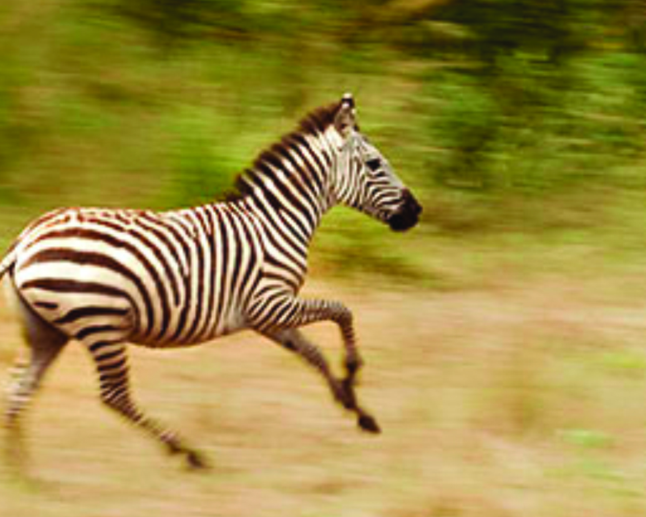 The New Wolsey Theatre, Ipswich