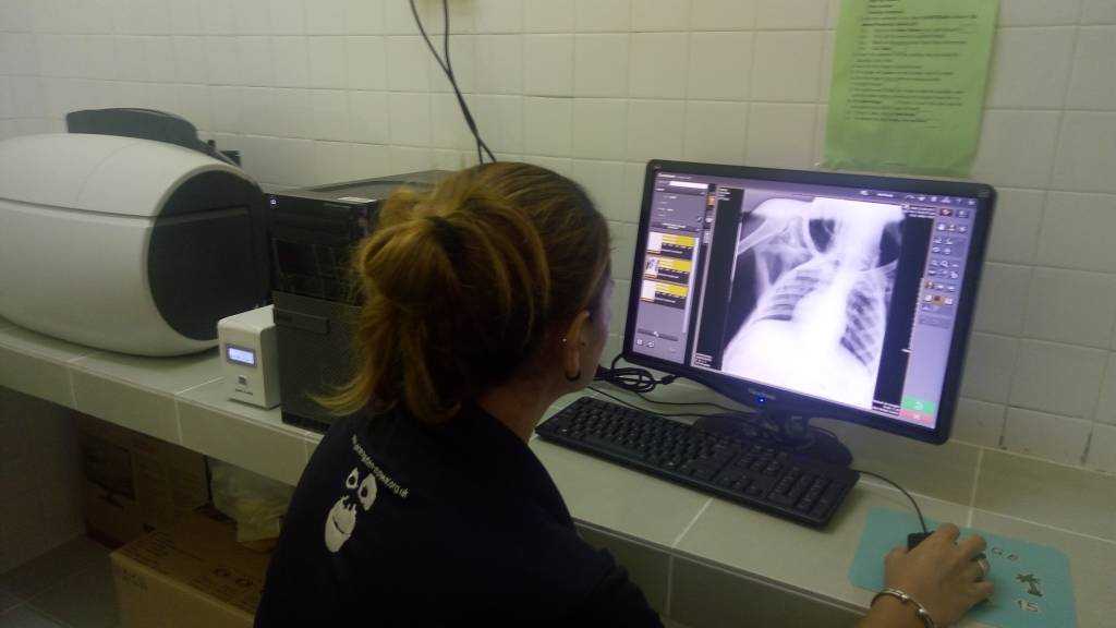 Clinic Equipment | Orangutan Appeal