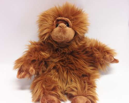 Popular products | Orangutan Appeal