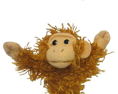 Popular products | Orangutan Appeal