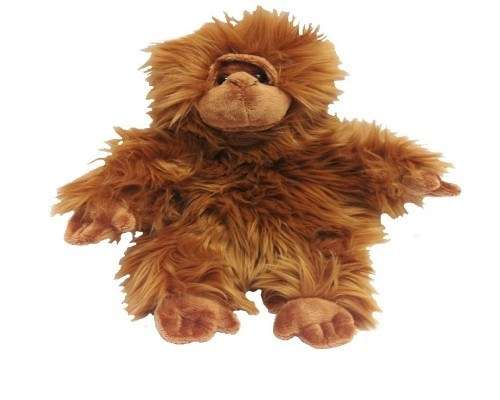 Welcome to Orangutan Appeal UK | Orangutan Appeal