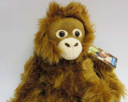 Popular products | Orangutan Appeal