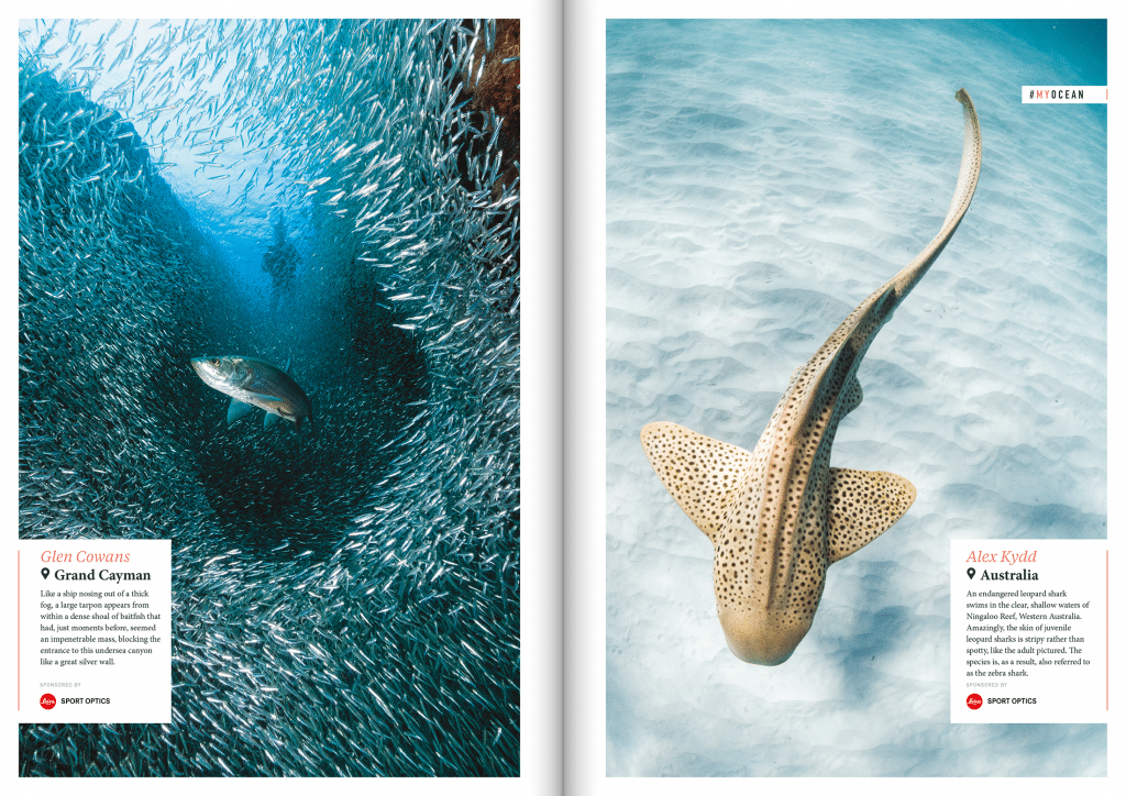 Issue Two / Biomass Boom - Oceanographic Magazine - Oceanographic