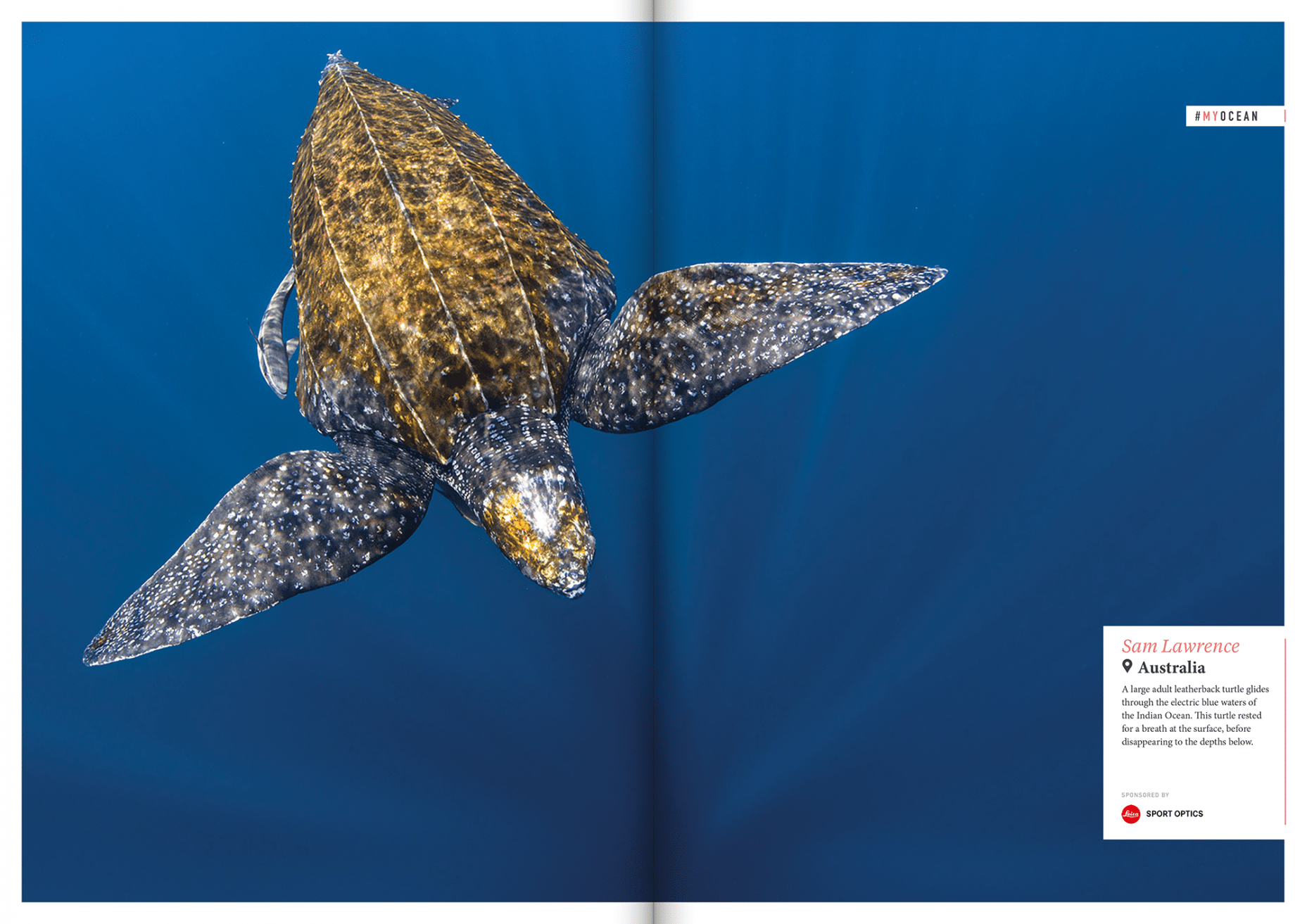 Issue 03 / Changing winds - Oceanographic Magazine - Oceanographic