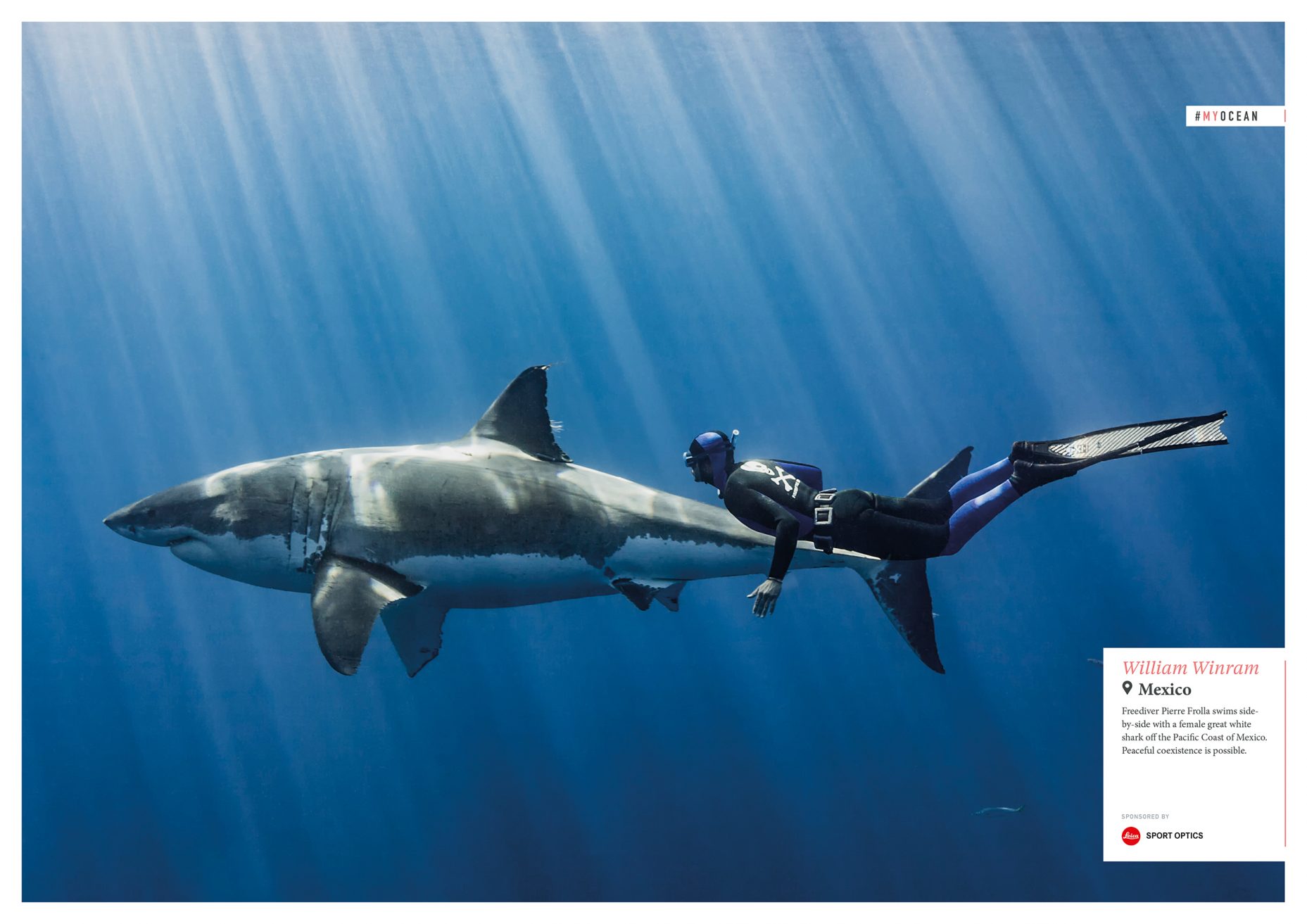 Issue Six / Reconnection - Oceanographic - Oceanographic