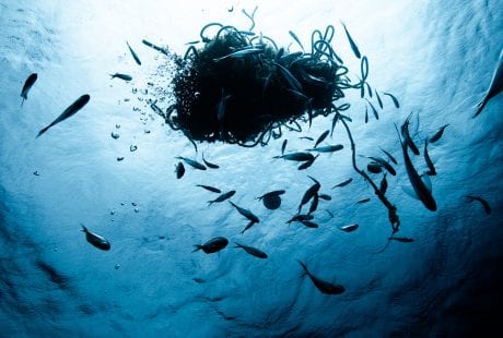 Call of the ocean: Swimming 35km across False Bay - Oceanographic ...