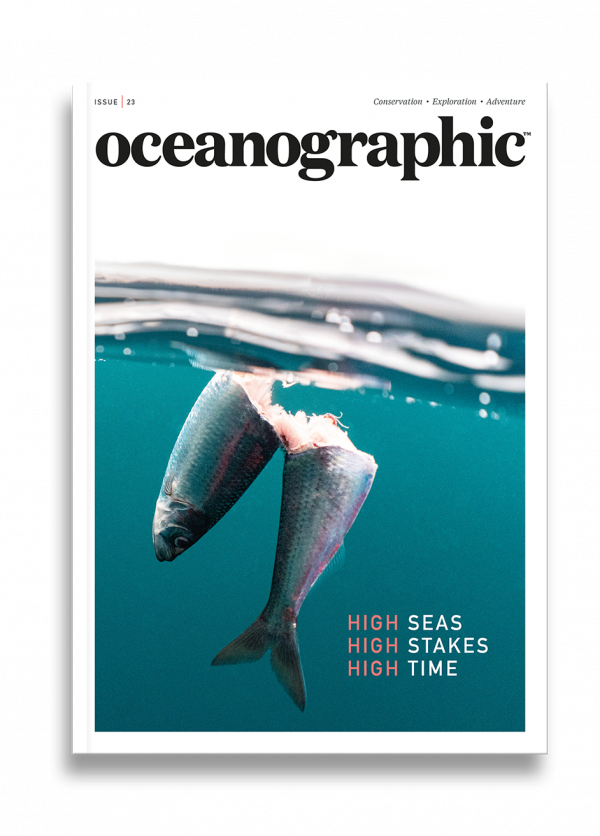 Oceanographic Magazine - Conservation / Exploration / Adventure ...