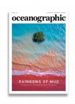 Oceanographic Magazine / Issue Nine / Dancing with orcas - Oceanographic